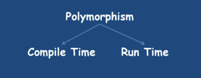 What Does Polymorphism Mean In C